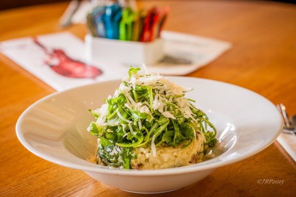 Menus - The White Hart